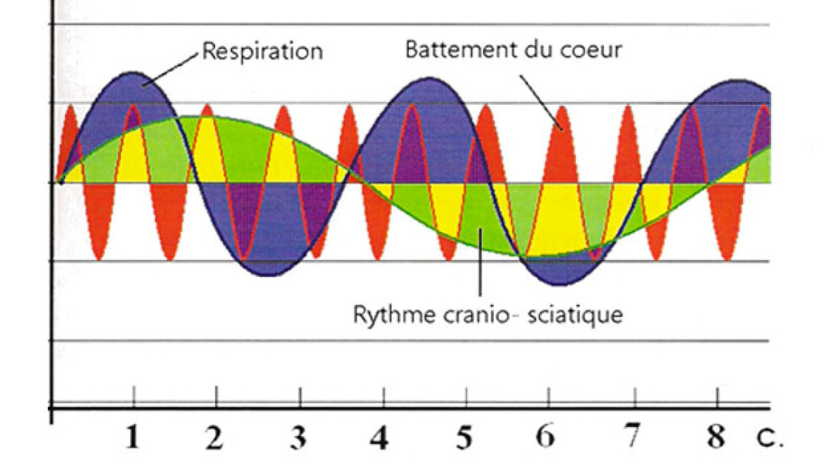 Traitement des maladies de la colonne vertébrale